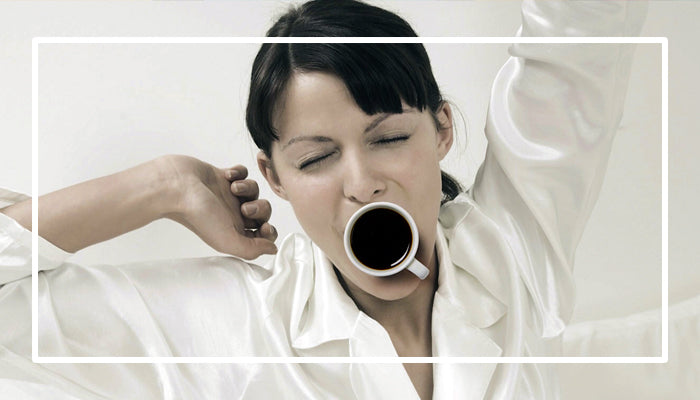 Caffeine is Life – Punch'd Energy